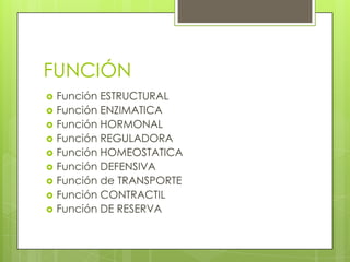 Nutricion proteinas | PPTX