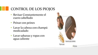 Nutricion y alimentacion saludable | PPTX
