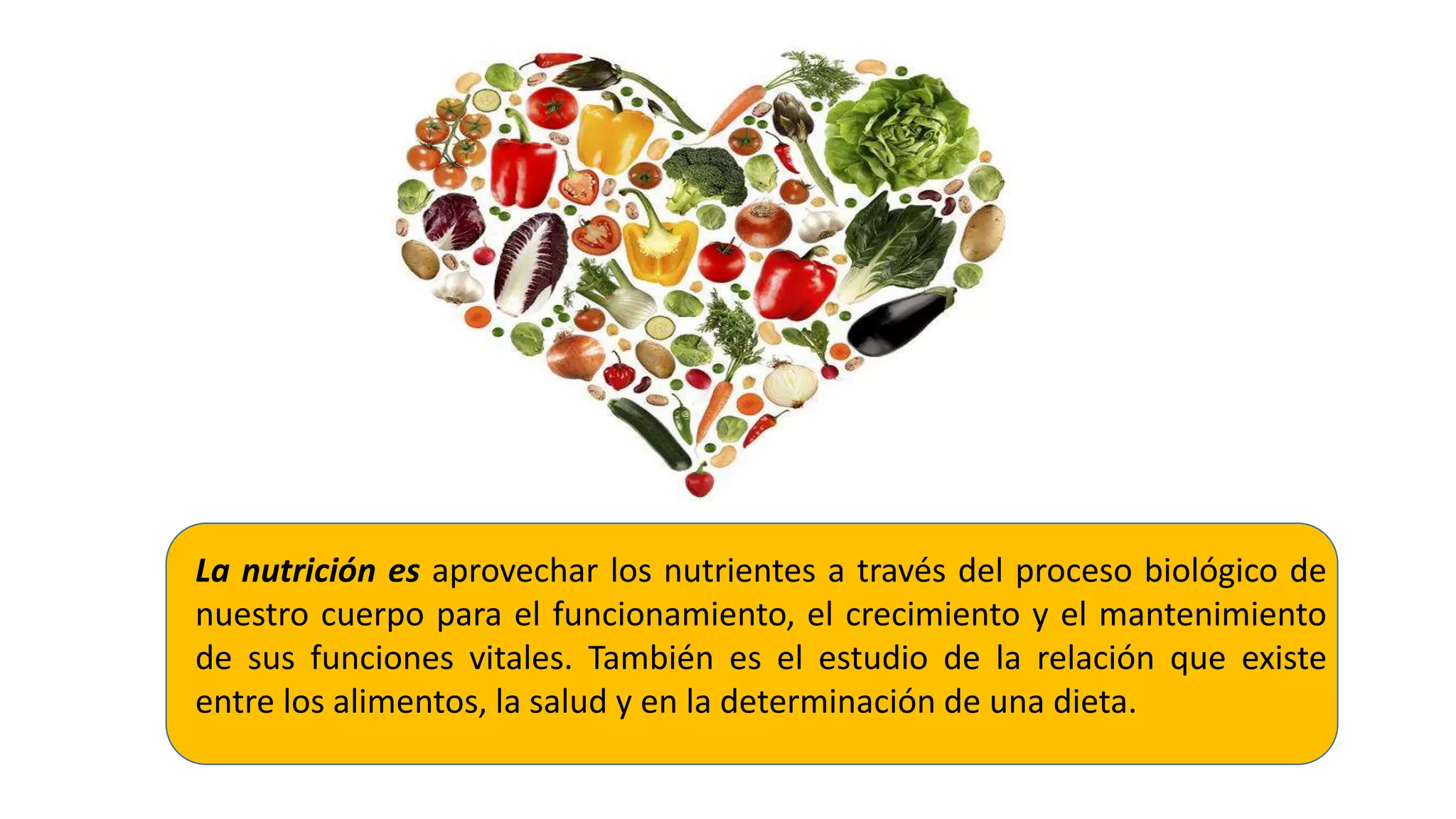 Nutricion y salud | PPT