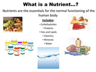 Nutrient | PPTX