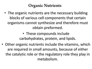 Nutrient | PPTX