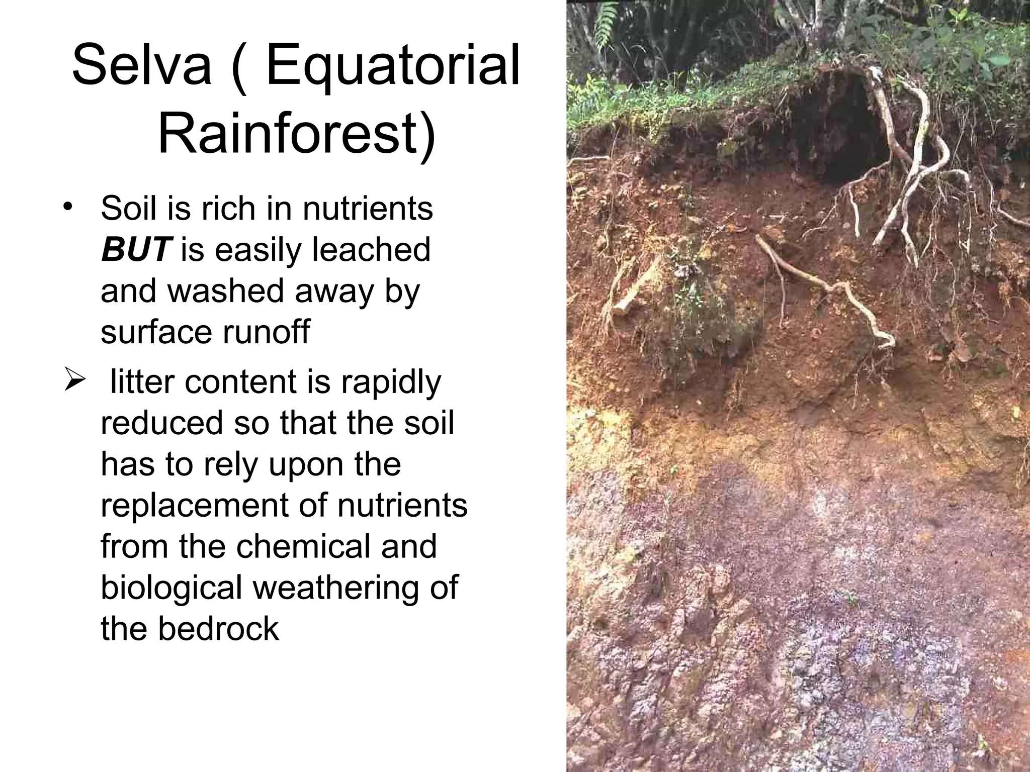 Nutrient Cycle | PPT