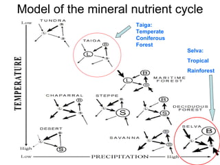 Nutrient Cycle | PPT