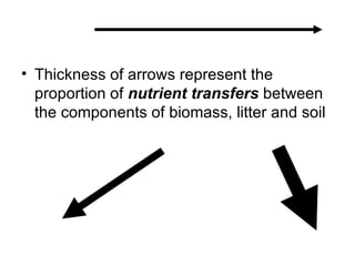 Nutrient Cycle | PPT