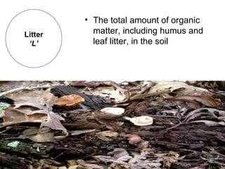 Nutrient Cycle | PPT