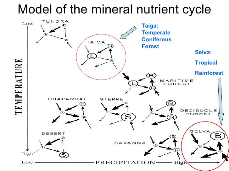 Nutrient Cycle