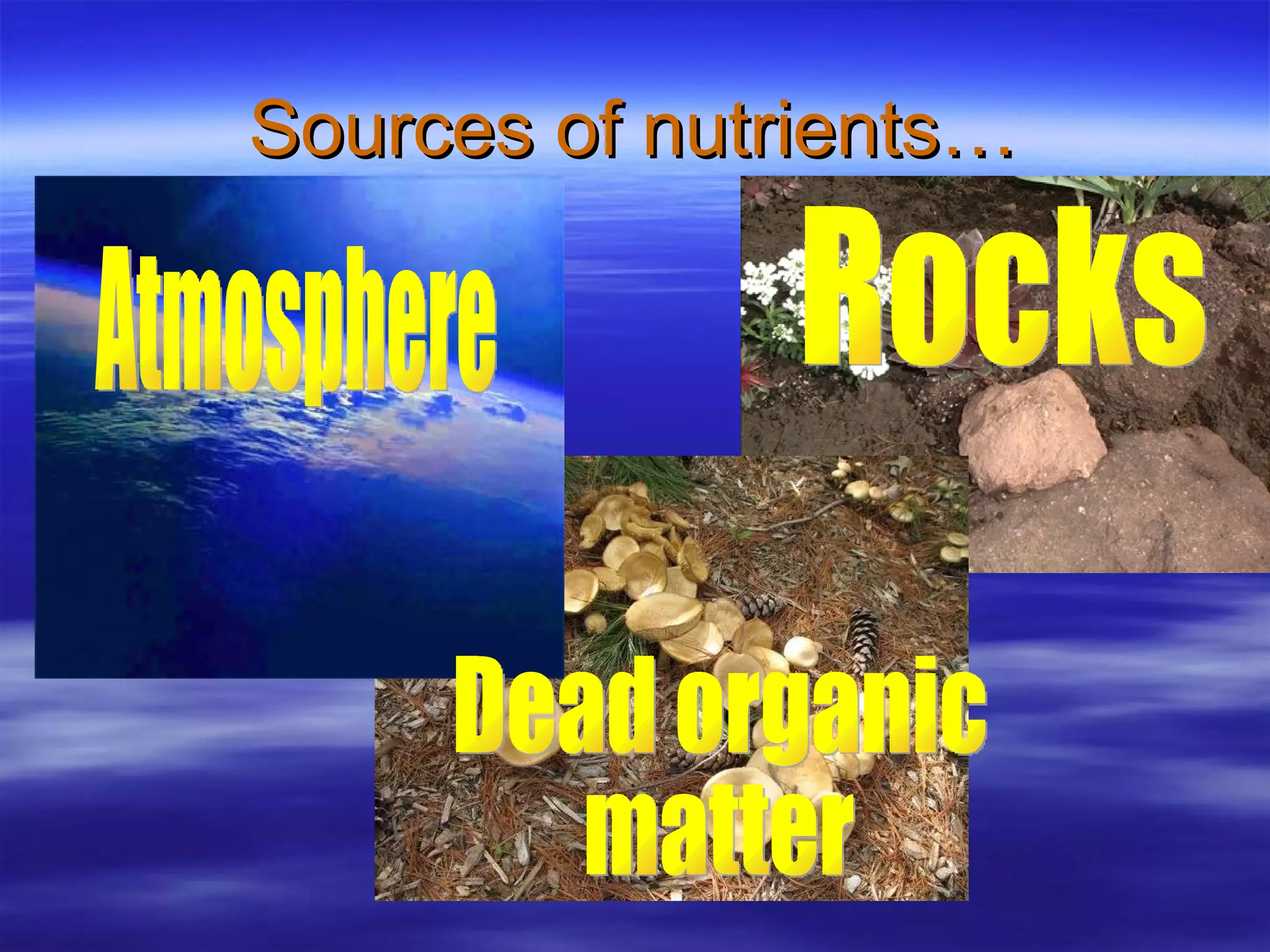 Nutrient Cycling | PPT