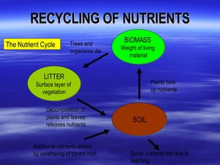 Nutrient Cycling | PPT
