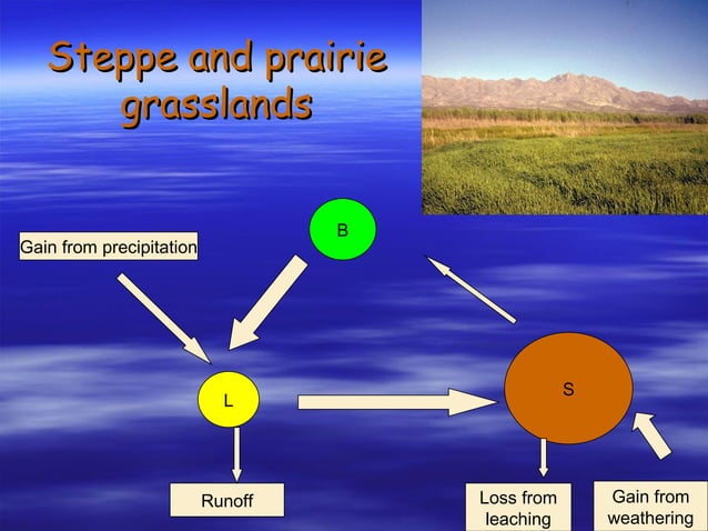 Nutrient Cycling | PPT