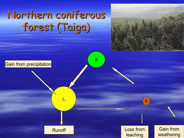 Nutrient Cycling | PPT