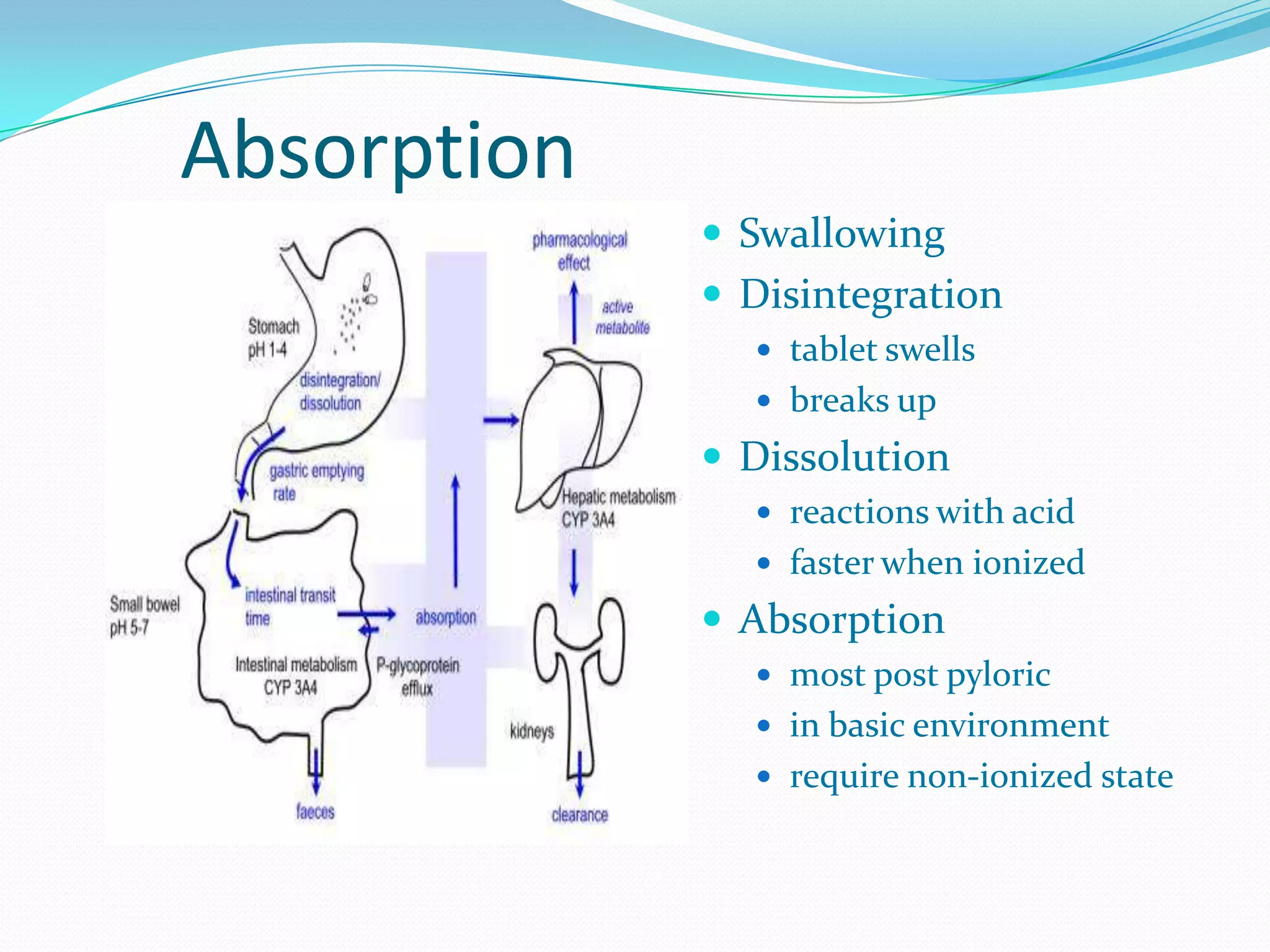 Nutrient drug interaction | PPTX