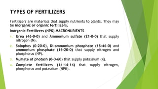 nutrient-management-of-corn.pptxSfklavFV | PPTX