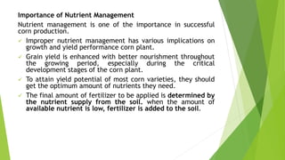nutrient-management-of-corn.pptxSfklavFV | PPTX