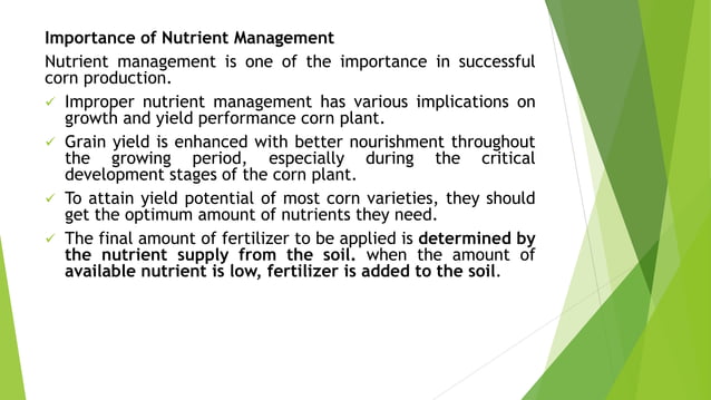 nutrient-management-of-corn.pptxSfklavFV | PPTX | Agriculture | Industries