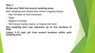 nutrient-management-of-corn.pptxSfklavFV | PPTX