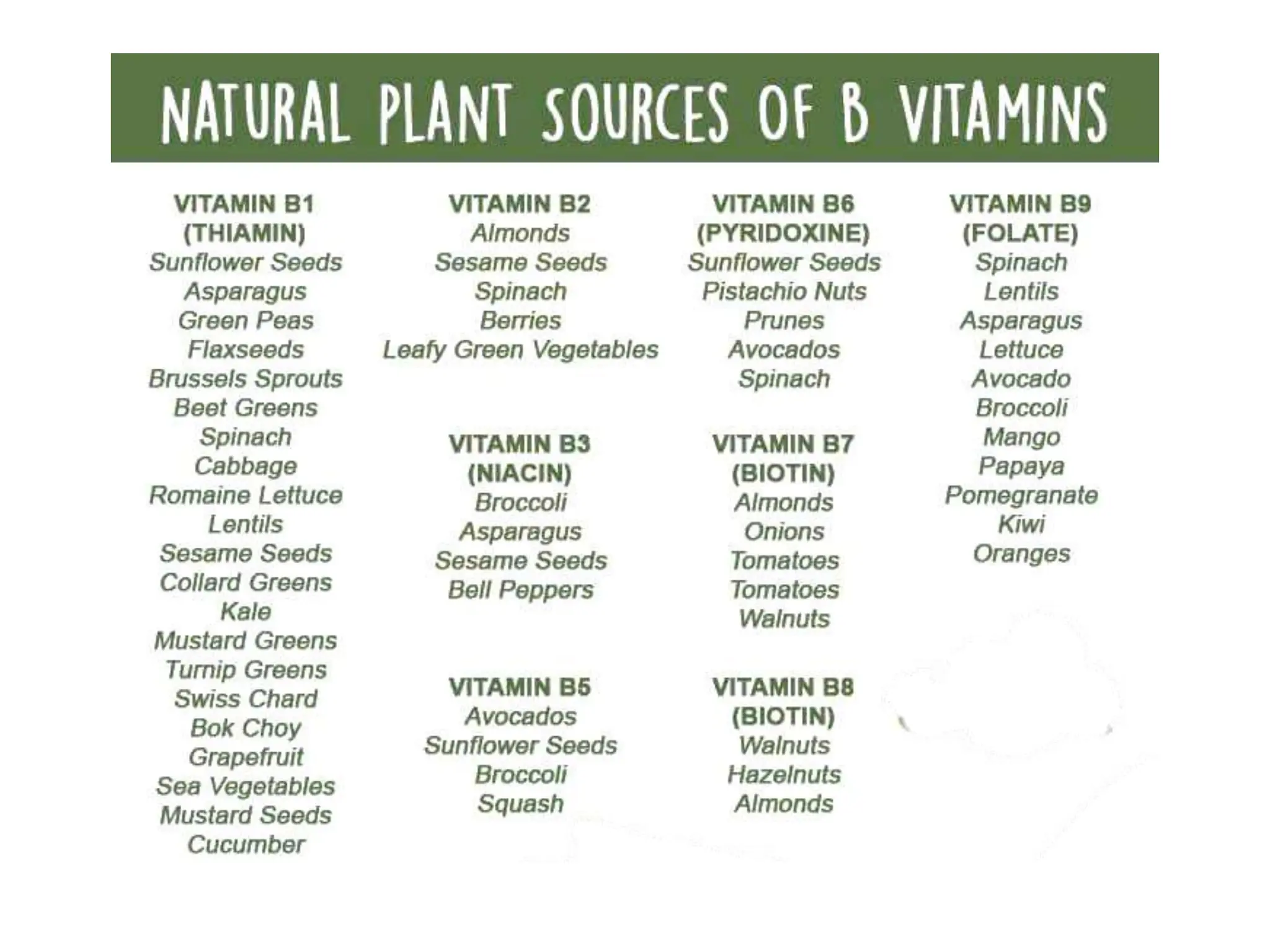 Water Soluble Vitamins and Nutrient -nutrient interaction | PPTX