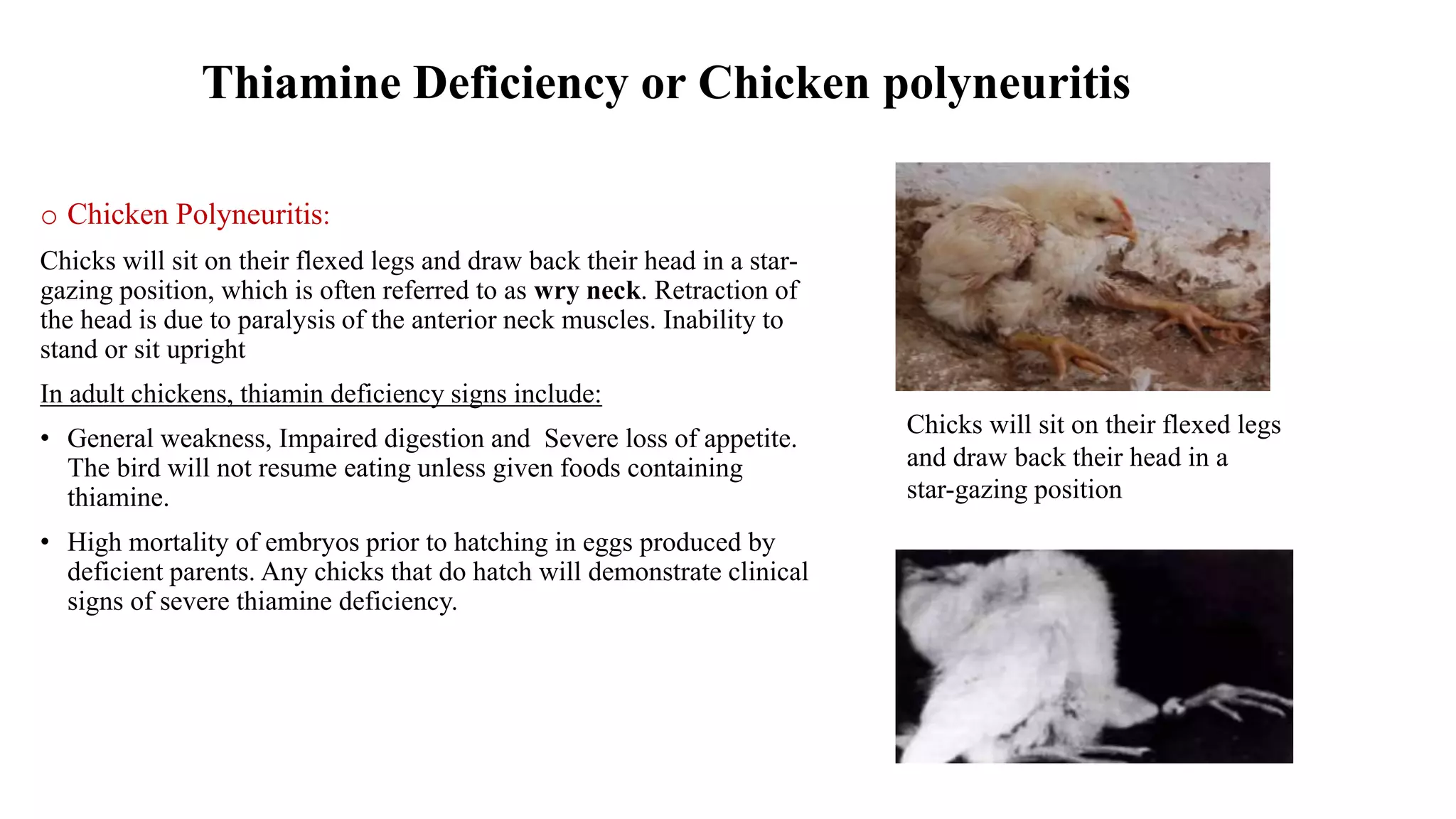 NUTRIENT DEFICIENCIES IN POULTRY-5.pptx