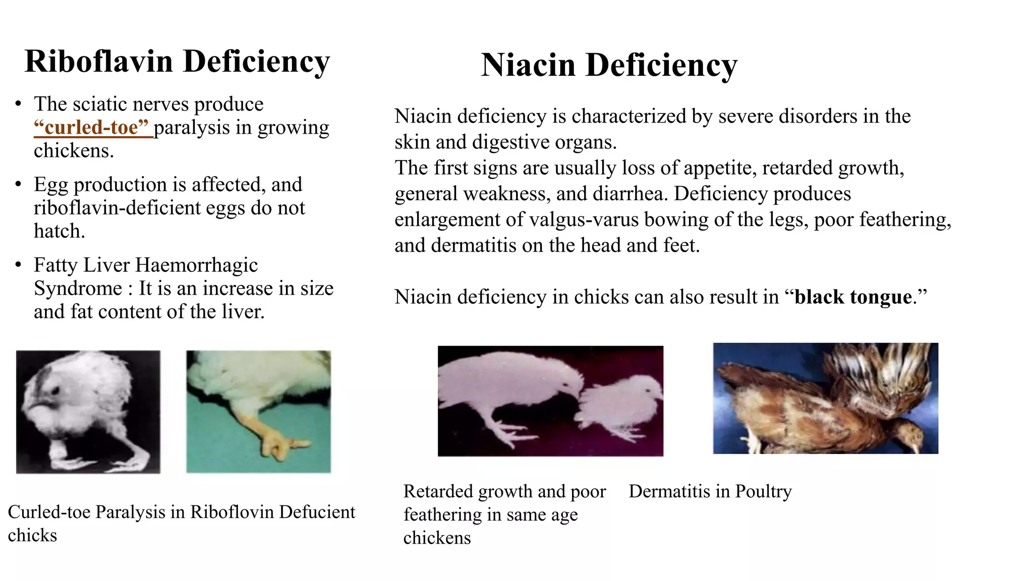 NUTRIENT DEFICIENCIES IN POULTRY-5.pptx