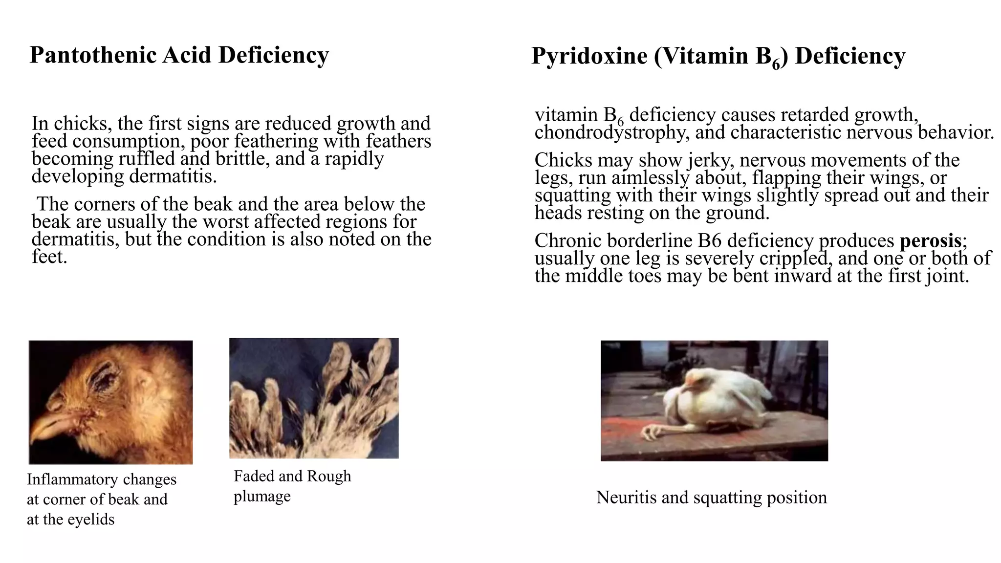 NUTRIENT DEFICIENCIES IN POULTRY-5.pptx