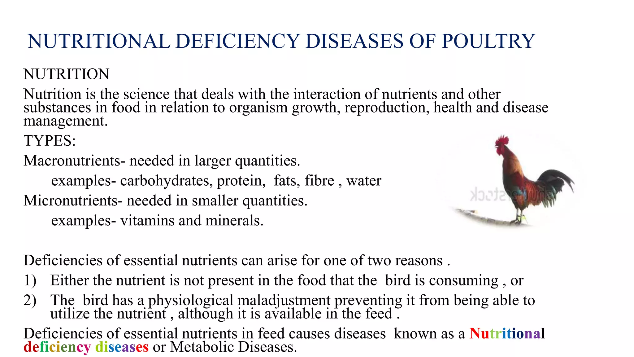 NUTRIENT DEFICIENCIES IN POULTRY-5.pptx