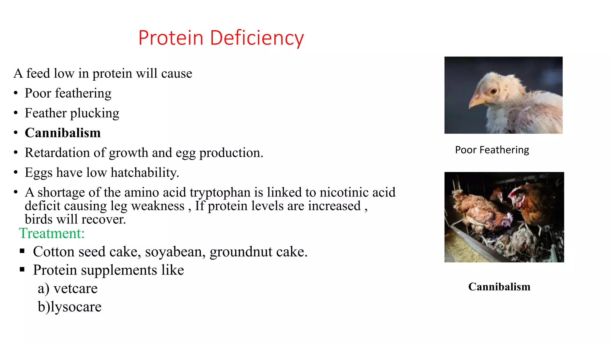 NUTRIENT DEFICIENCIES IN POULTRY-5.pptx
