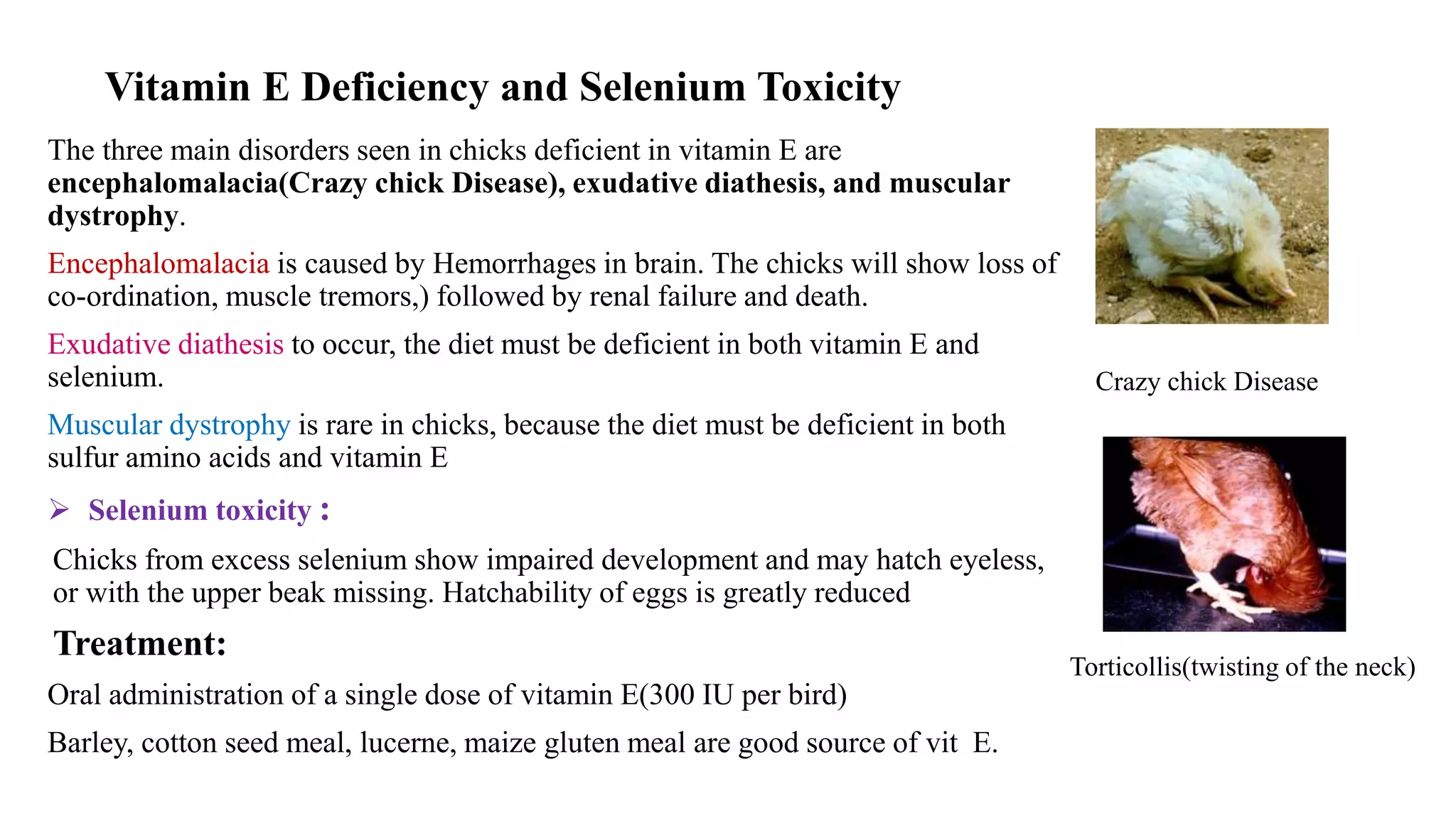 NUTRIENT DEFICIENCIES IN POULTRY-5.pptx