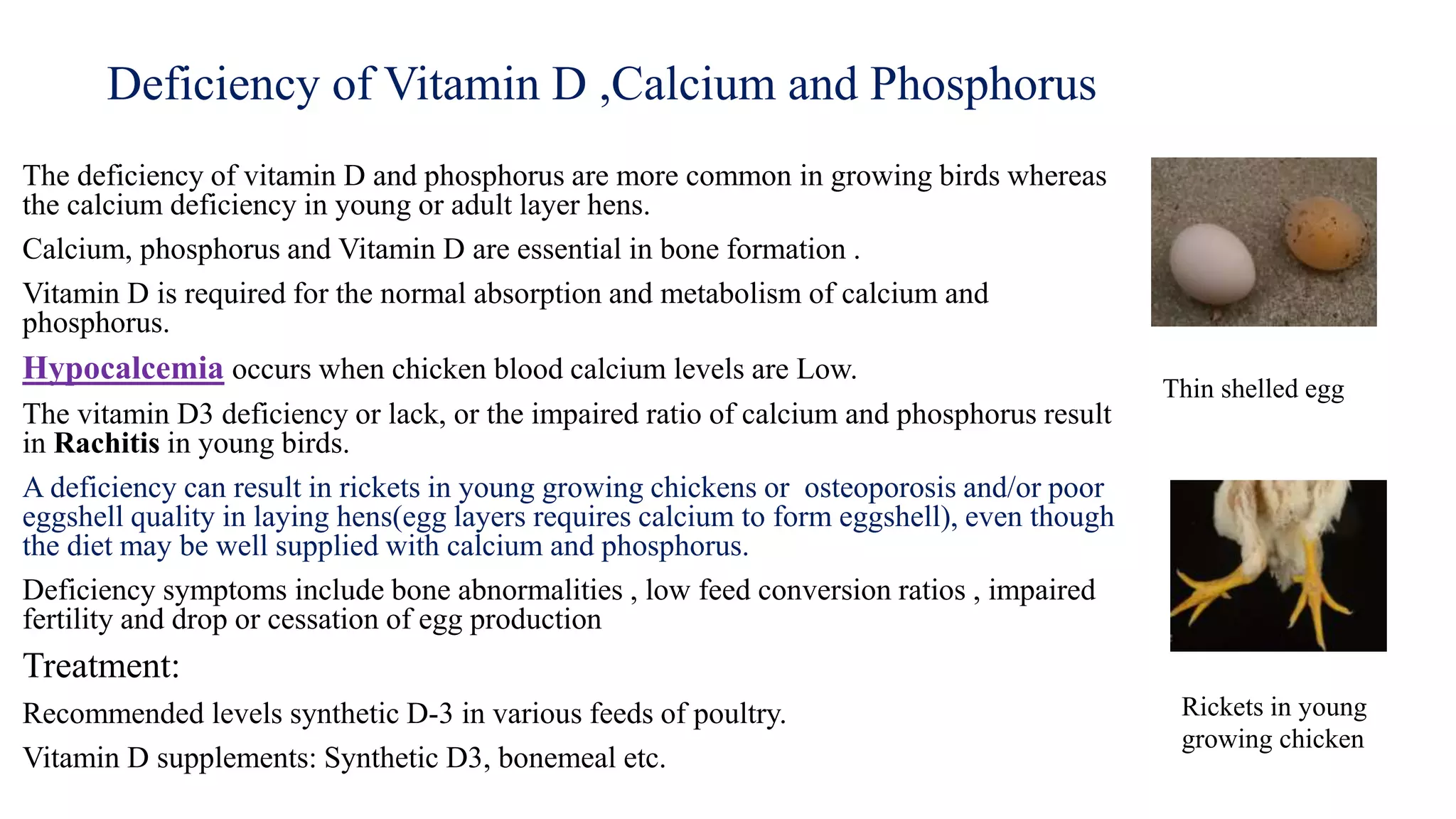 NUTRIENT DEFICIENCIES IN POULTRY-5.pptx