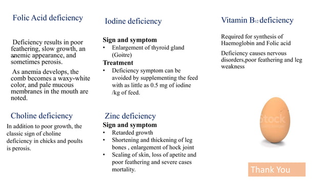 NUTRIENT DEFICIENCIES IN POULTRY-5.pptx