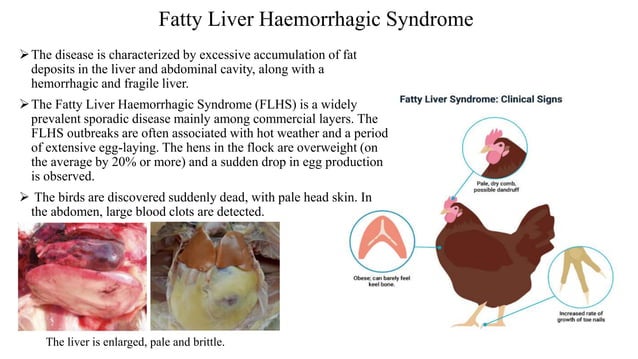 NUTRIENT DEFICIENCIES IN POULTRY-5.pptx