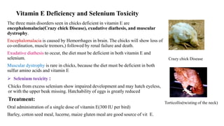 NUTRIENT DEFICIENCIES IN POULTRY-5.pptx