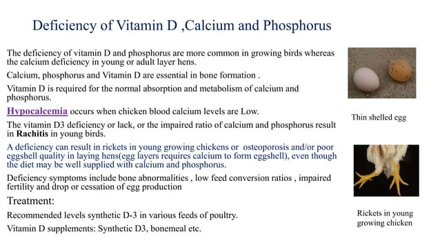 NUTRIENT DEFICIENCIES IN POULTRY-5.pptx