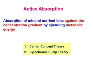 nutrient absorb.ppt