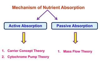 nutrient absorb.ppt