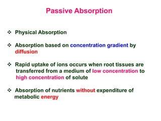 nutrient absorb.ppt