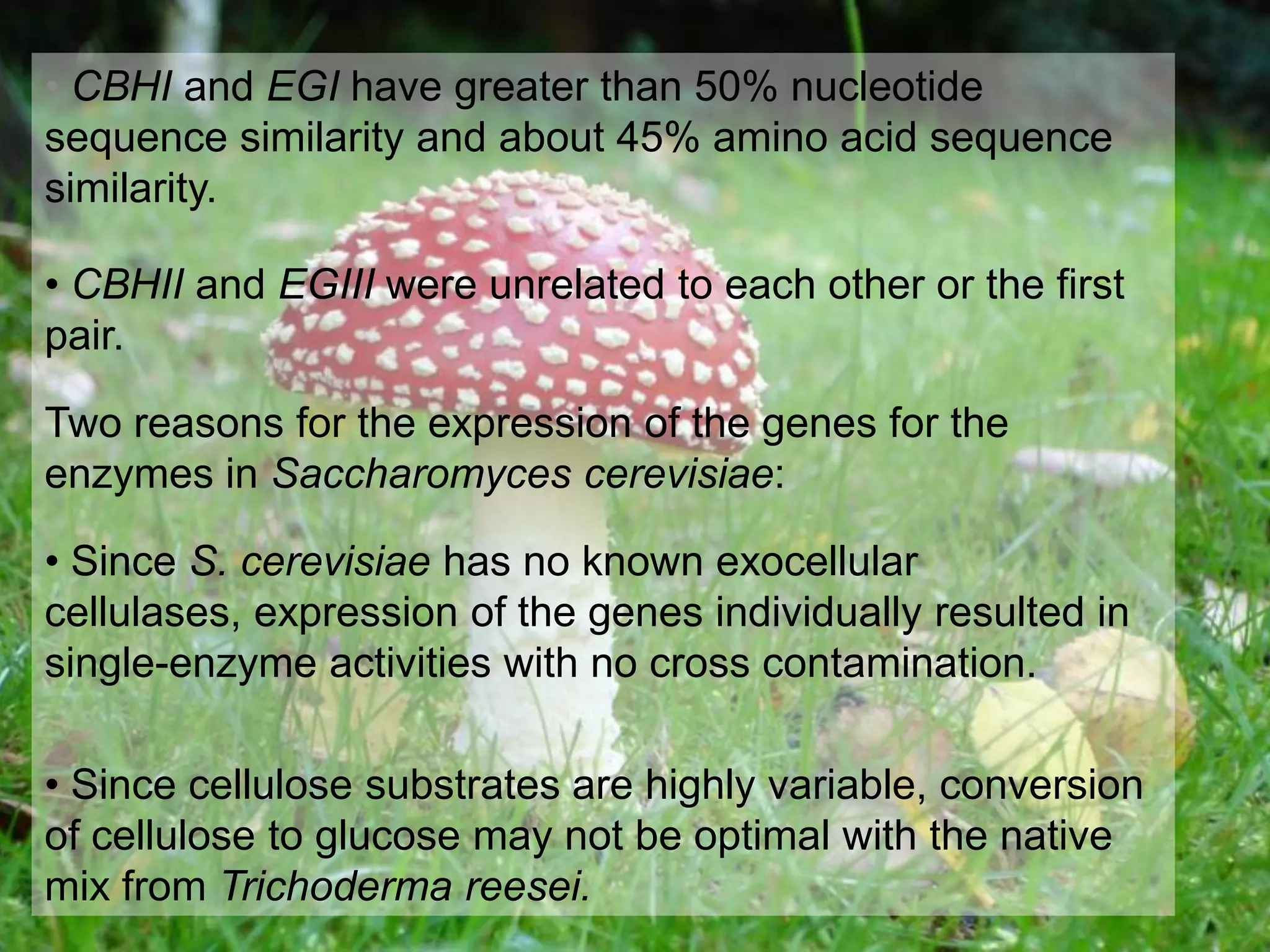Fungal Nutrient Acquisition: Disaccharides and Cellulose | PPTX | Chemistry | Science