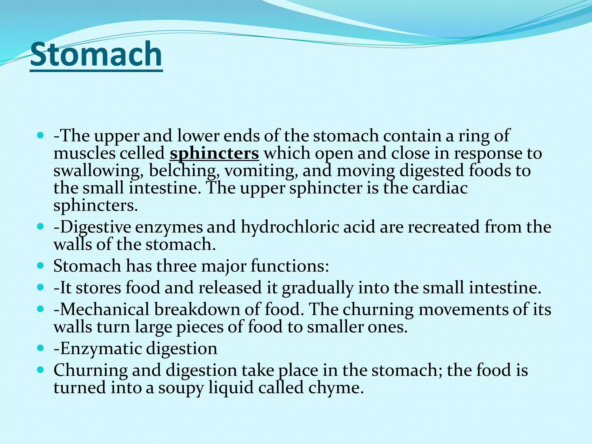 Nutrient and digestion powerpoint | PPTX