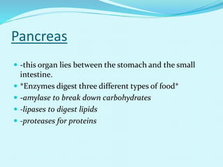 Nutrient and digestion powerpoint | PPTX