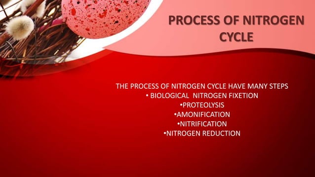NUTRIENT CYCLE.pptx