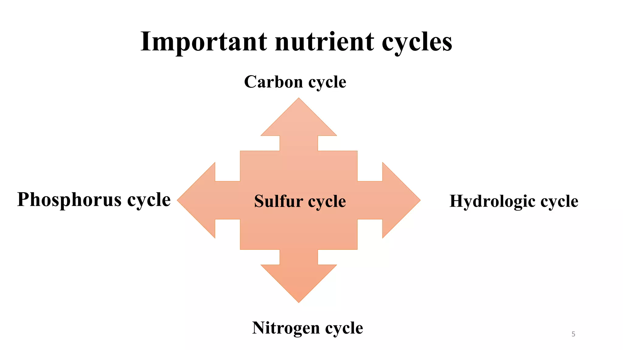 Nutrient Cycle.pptx