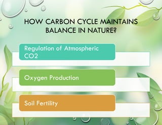 NUTRIENT CYCLE OF THE EARTH AND ATMOSPHERE.pptx