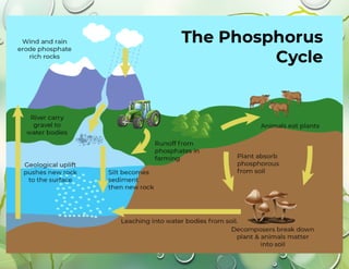 NUTRIENT CYCLE OF THE EARTH AND ATMOSPHERE.pptx