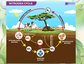 NUTRIENT CYCLE OF THE EARTH AND ATMOSPHERE.pptx