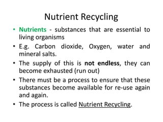 NUTRIENT CYCLE AND THE ENVIRONMENT.pdf hehegegegeggegegegeh | PDF