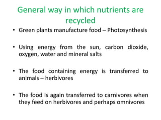 NUTRIENT CYCLE AND THE ENVIRONMENT.pdf hehegegegeggegegegeh | PDF