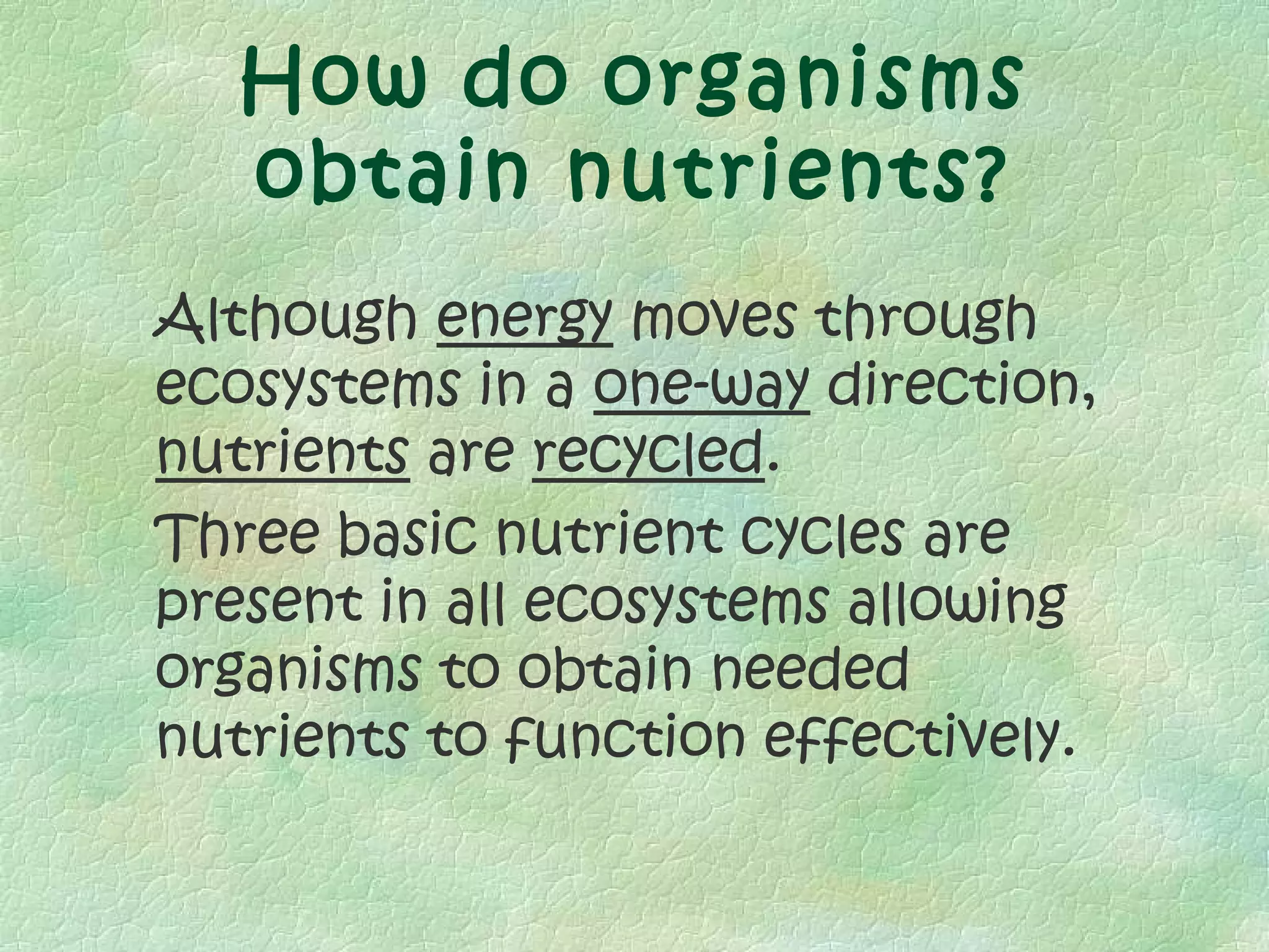 Nutrient cycles presentation | PPT