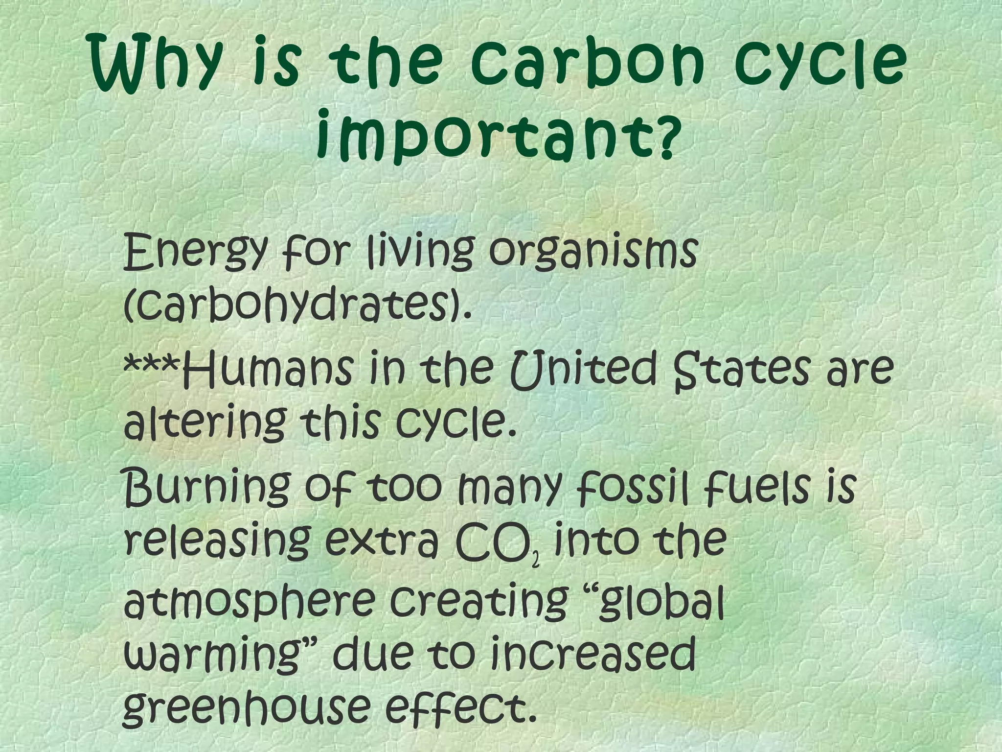 Nutrient cycles presentation | PPT