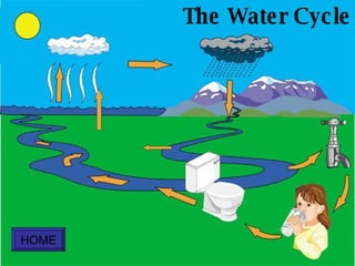 Nutrient Cycling | PPT