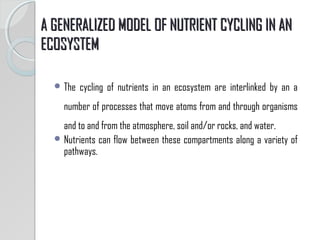 Nutrient cycling | PPT