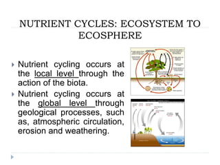 NutrientCycling.ppt | Science