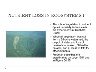 NutrientCycling.ppt | Science